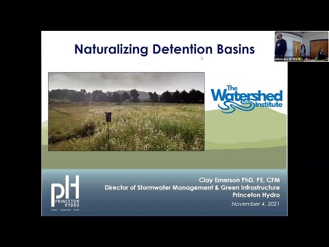 Naturalizing Detention Basins