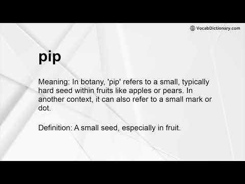 pip Meaning
