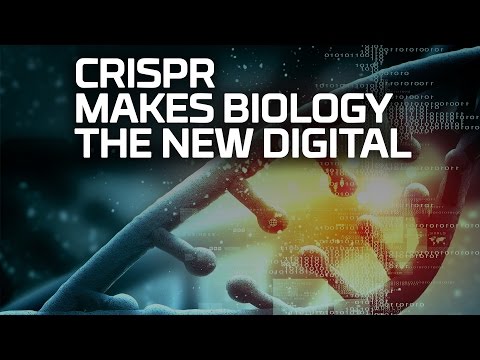 CRISPR Makes Biology the New Digital