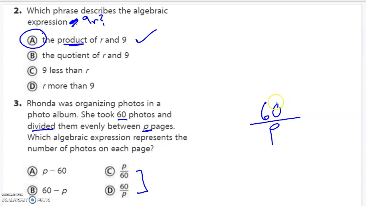 Module 10 - Interactive Study Guide