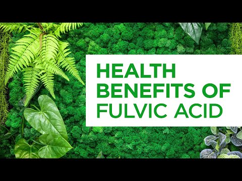 Fulvic Acid Explained: Why Our Bodies Need Natural Compounds