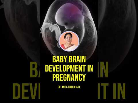 Brain development in 9 months of pregnancy #pregnancycomplications #pregnancytips