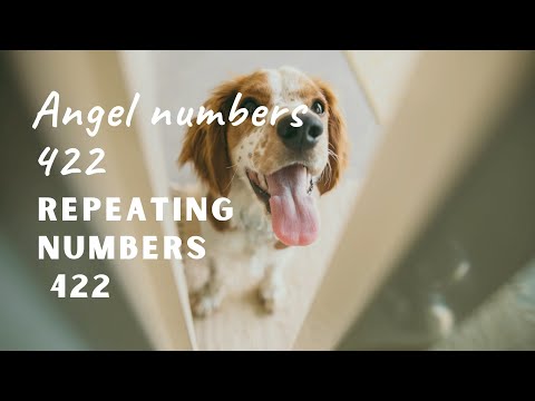 Angel Number 422| Repeating number | archangel Raphael| ✨Master number 22✨🌚