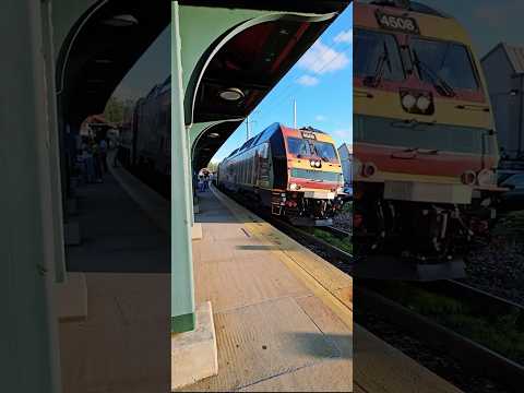 2 NJT Trains @ Pearl River, NY's Station! Ft. #4508!
