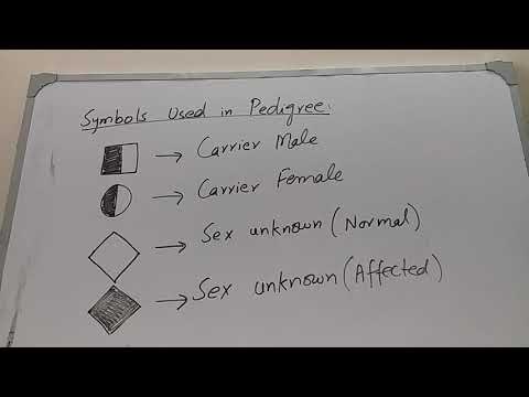 Pedigree Symbols And Chart