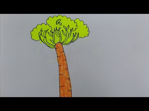 How to draw baobab tree-baobab tree drawings-draw an african tree step ...