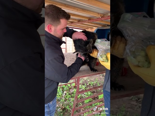 Joren Whitley, el quiropráctico de animales que se viralizó en TikTok