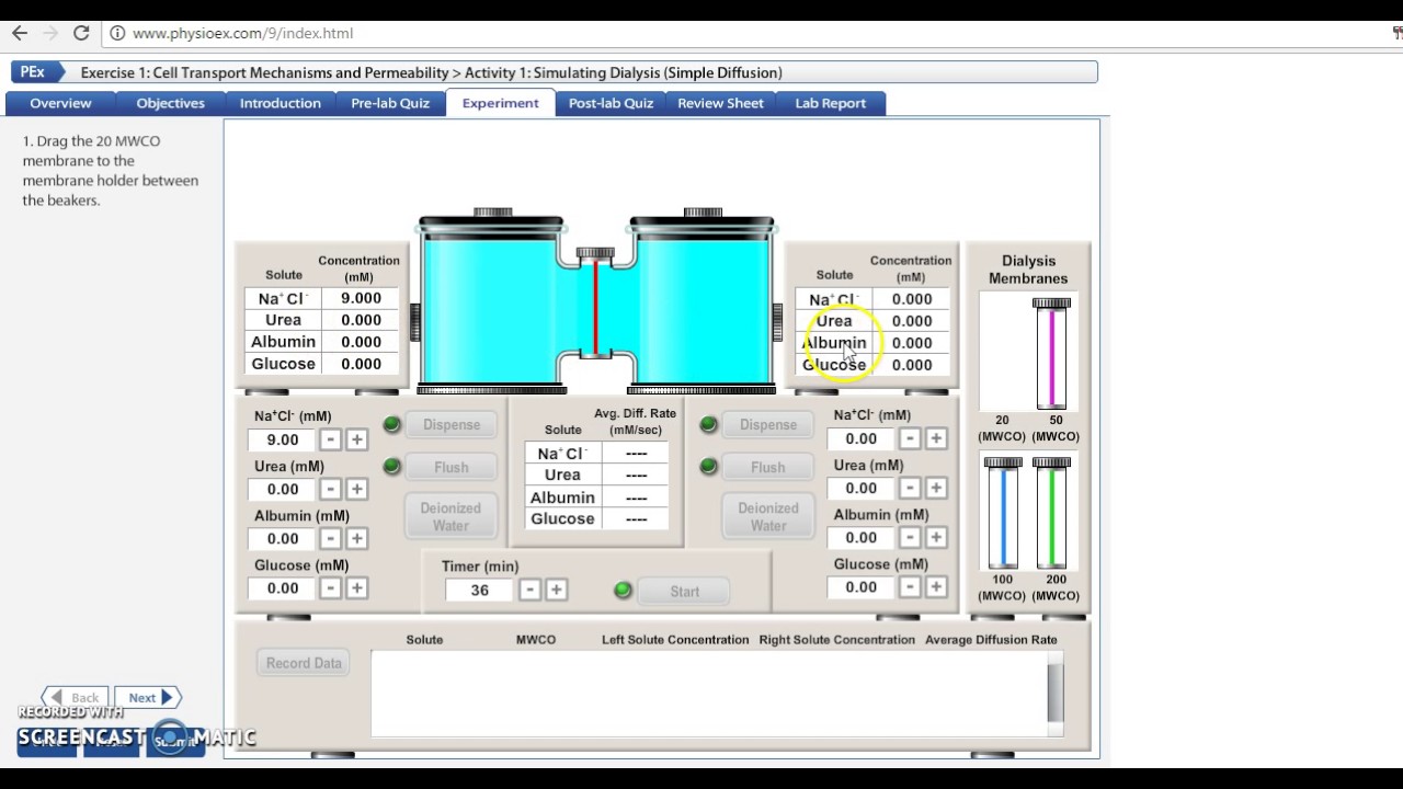 Introducción Physioex