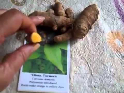 Hawaiian Kapa Dye and Design prep for Kahiau's Baby Kapa April 2010 part 1 mp4