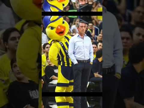 Fenerbahçe @fenerbahce @elvinkose2079