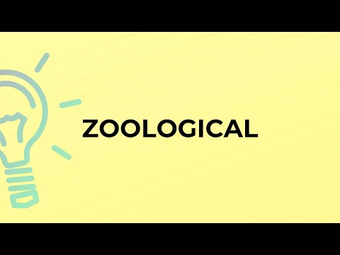 What is the meaning of the word ZOOLOGICAL?