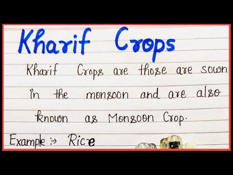 What are kharif crops | Definition of kharif crops | Types of kharif crops | Example of kharif crops