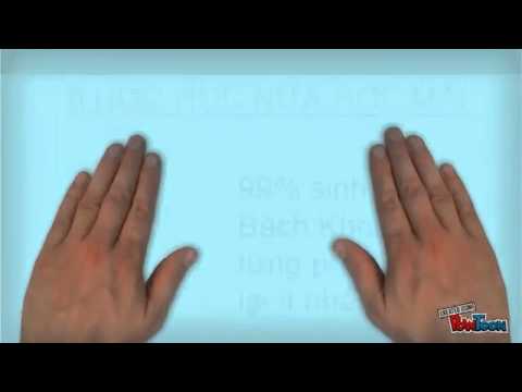 [BK Pedia] Tập 2: 11 sự thật về ĐH Bách Khoa TP.HCM