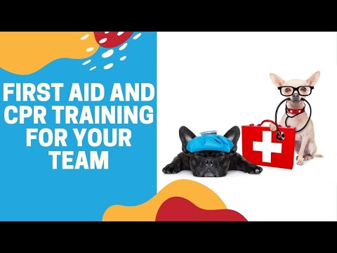 First Aid and CPR Training for Your Pet Business