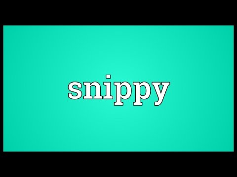 Snippy Meaning