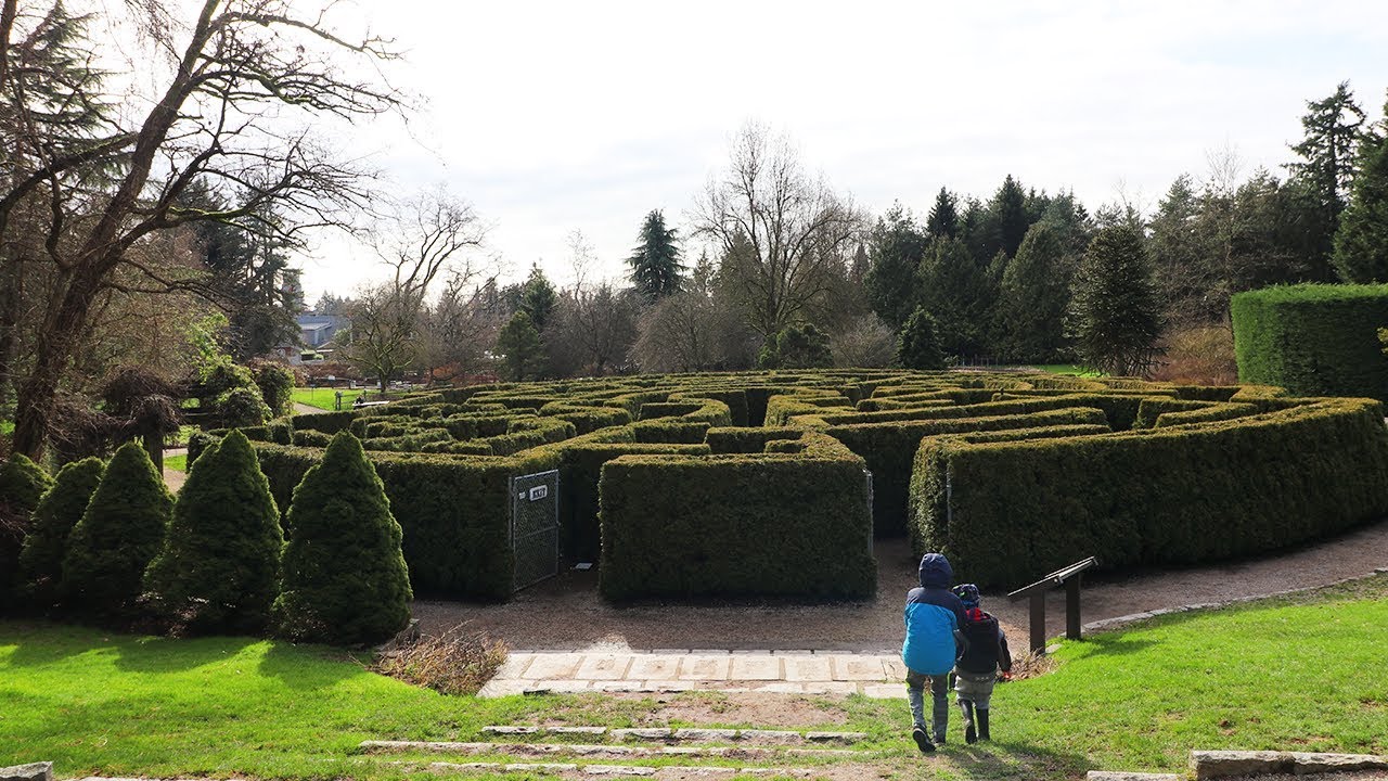 How To Beat Any Maze!