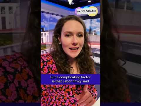 There's more Greens in Parliament, but how much impact can they have? | Politics Explained (Easily)