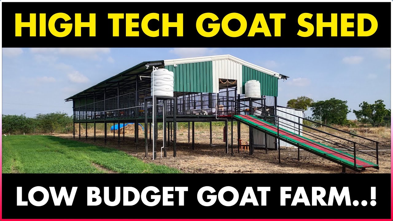 It cost us less than Kshs 100,000 to build this goat house for 300 ...