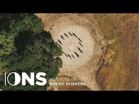 what is noetic science? | consciousness | brain-perks