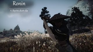 Skyrim SE-AE - Ronin at Skyrim Special Edition Nexus - Mods and Community