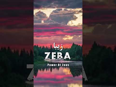 🌹Zeba🌹 | Name Meaning Status || Urdu e Hind Official #ytshorts #shorts