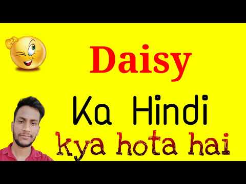 Daisy ko hindi mein kya kahate hain | Daisy ka matlab | Daisy ka hindi word