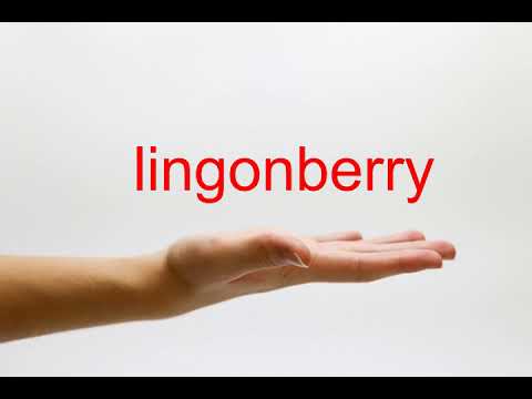 How to Pronounce lingonberry - American English