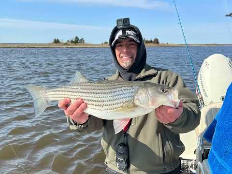 Spring Striper Fishing in South Jersey and the apps & websites I use to find them!