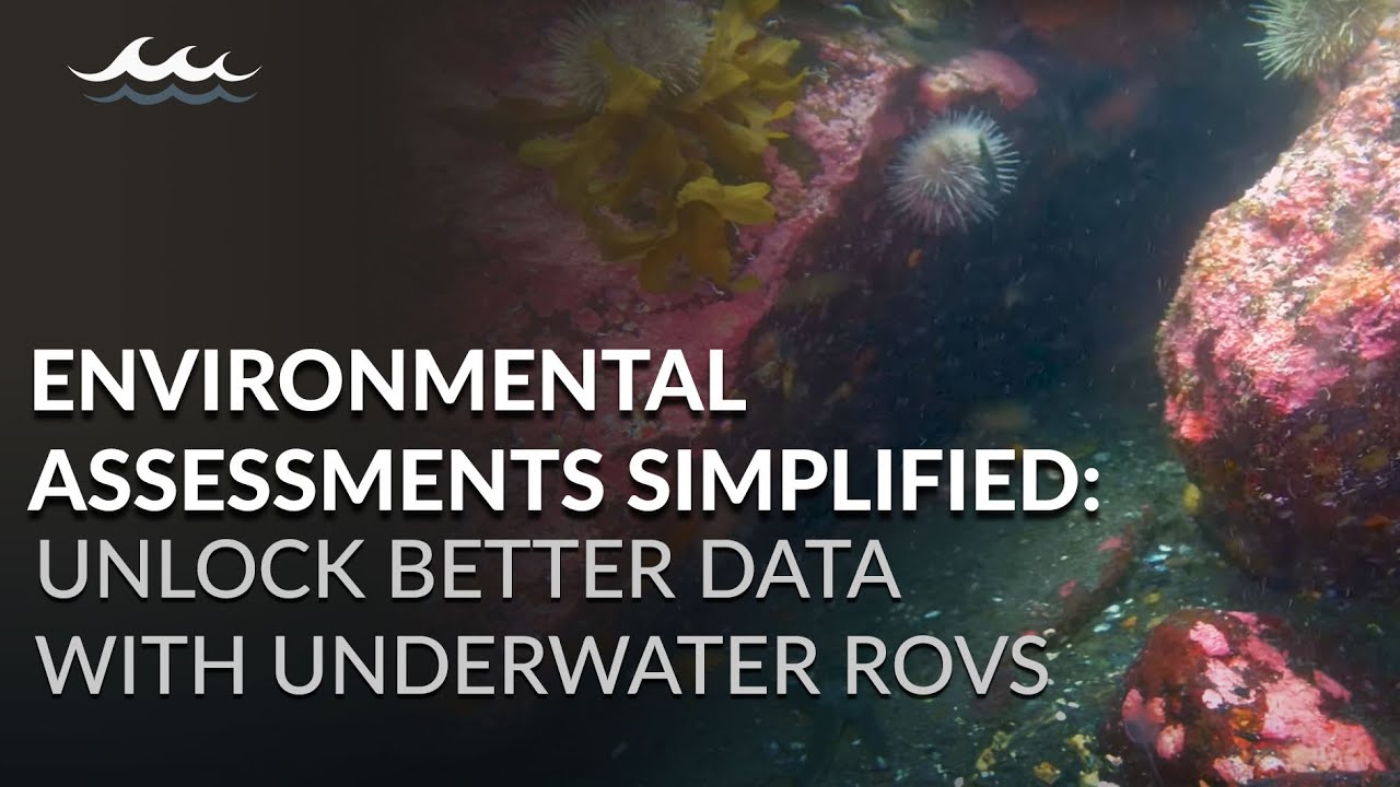 Environmental Assessments Simplified | Unlock Better Data with Underwater ROVs