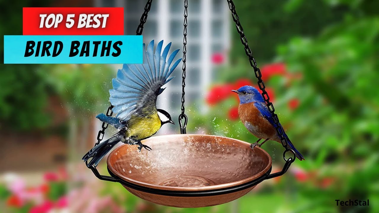 ✅ Top 5 Best Bird Baths | Best Bird Bath Fountain | Best Bird Baths In [2026] (Buying Guide)