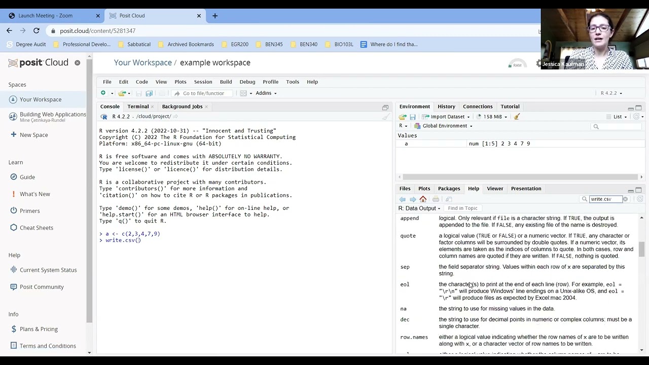 1.5b Downloading files from Posit Cloud