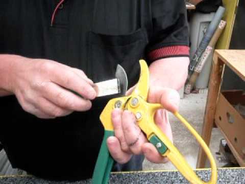 Sharpening Pruning Tools with a Diamond File