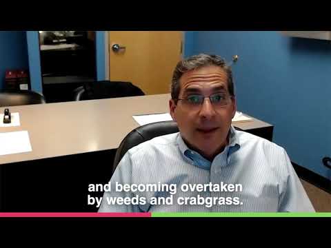 Professionally Managed Portfolio vs Do it Yourself