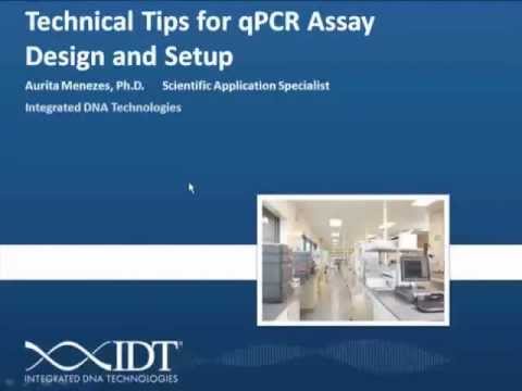 qPCR Assay Design & Setup - Technical Tips