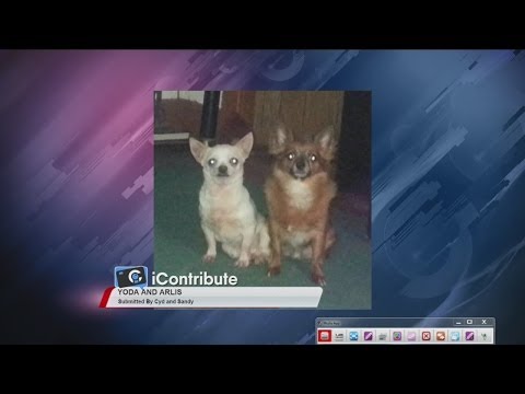 Scott's Pet Pics, March 24