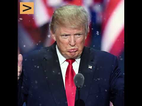 Shining a Light on Donald trump