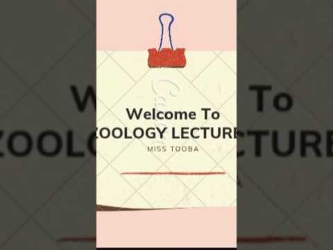Lecture # 03 PHYLUM PORIFERA (SPONGES) BIOLOGY LECTURES