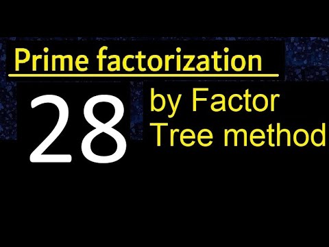 Prime factorization of 28 by factor tree method . Factor tree of 28 . How to find prime factors