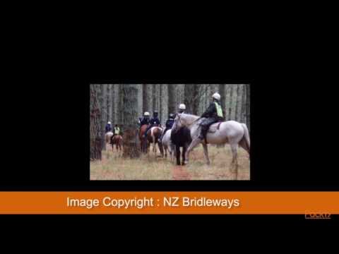 Learn QGIS Python Programming Techniques Introducing the ForestTrails Application | packtpub com ...