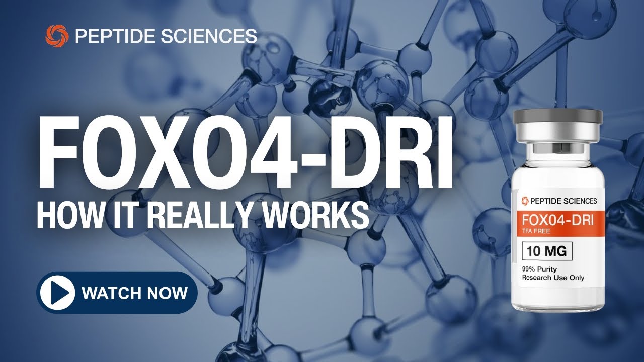 What is FOXO4-DRI Peptide and How Does it Work?