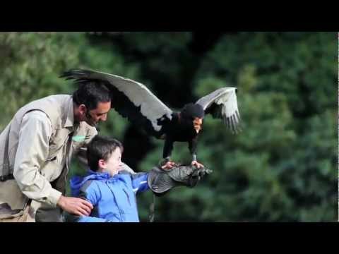 Imagefilm - Weltvogelpark Walsrode