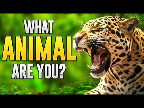 What Animal Are You? Cool Personality Test