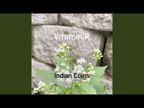 Vitamin R