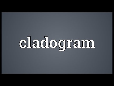Cladogram Meaning