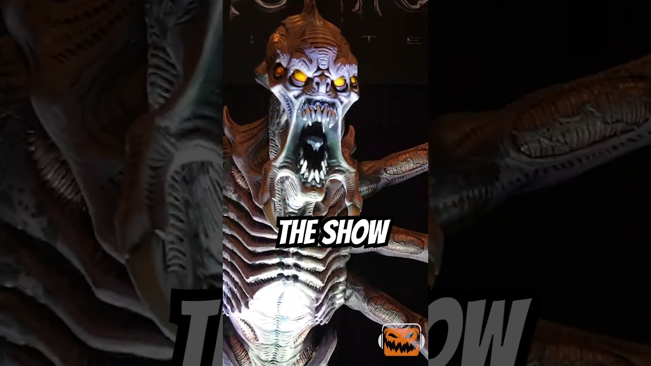 This is THE SHOW #halloween #transworld