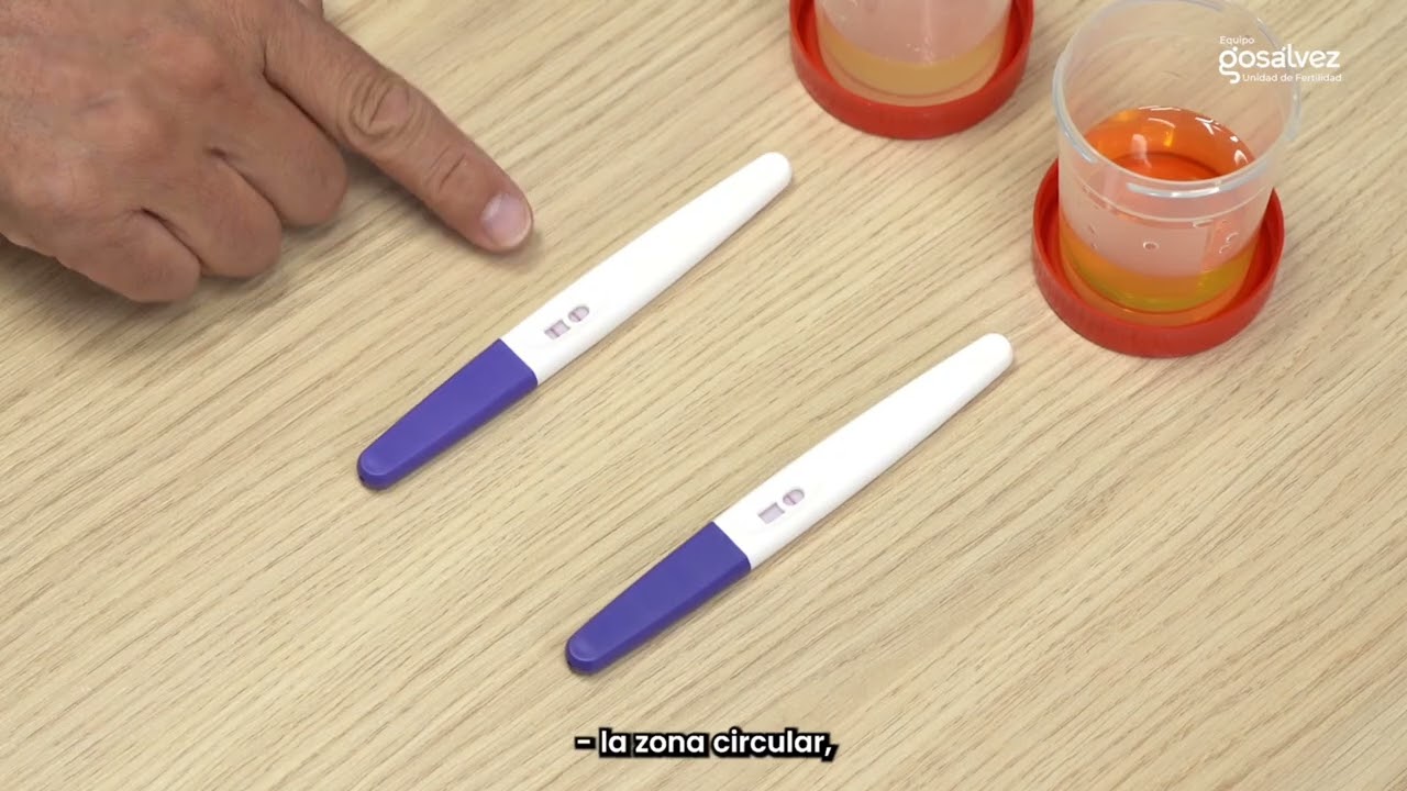 How to take a pregnancy test correctly | Gosálvez Team