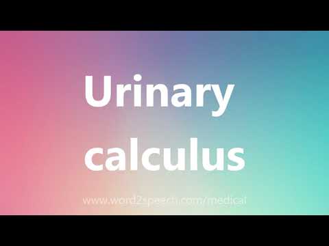 Urinary calculus - Medical Meaning and Pronunciation