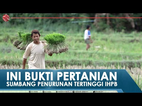 INI BUKTI PERTANIAN SUMBANG PENURUNAN TERTINGGI IHPB