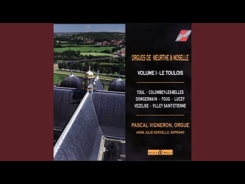 Livre du Huitième Ton: III. Duo (Grand Orgue Curt Schwenkedel de la Cathedrale de Toul)
