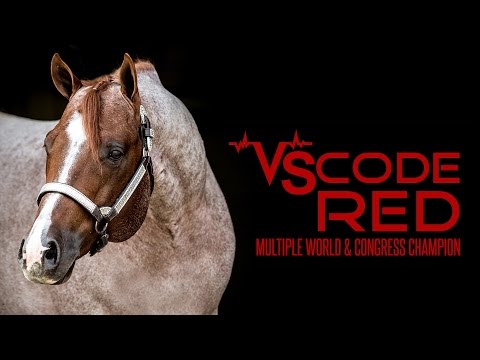 VS Code Red: 2007 Red Roan AQHA Stallion